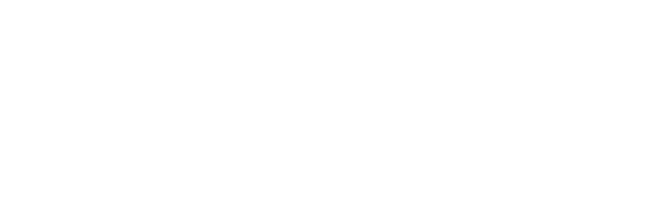La broderie - BRODERIE PRECISION
